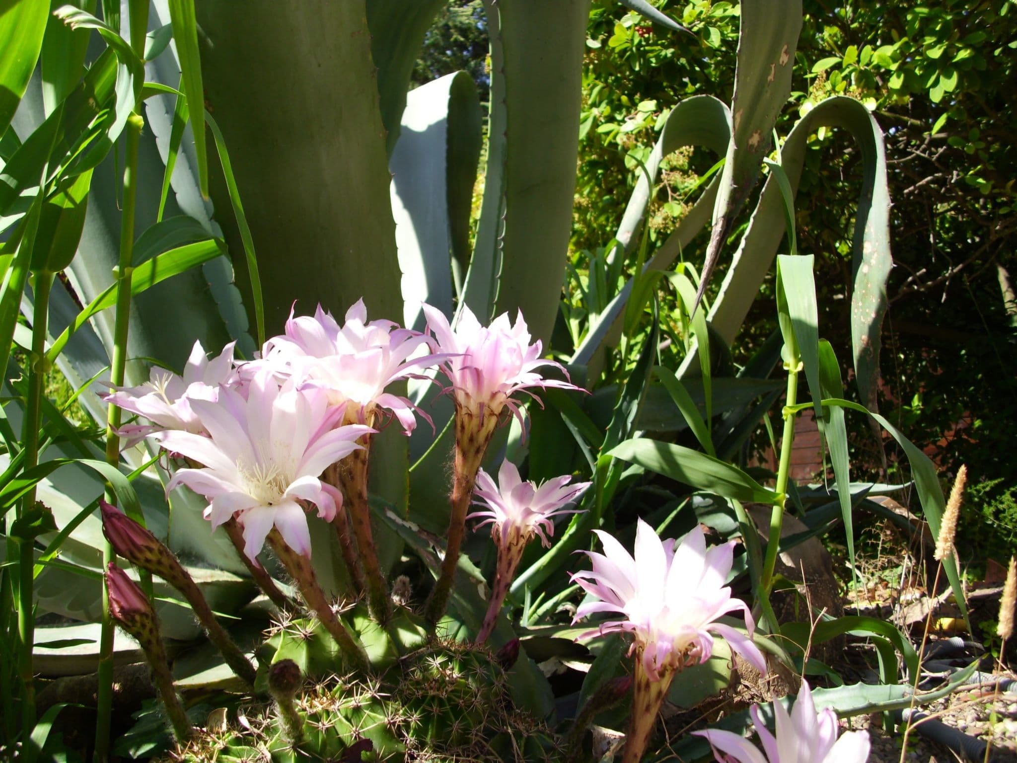 Maison Bleu Rentals | Lake.com