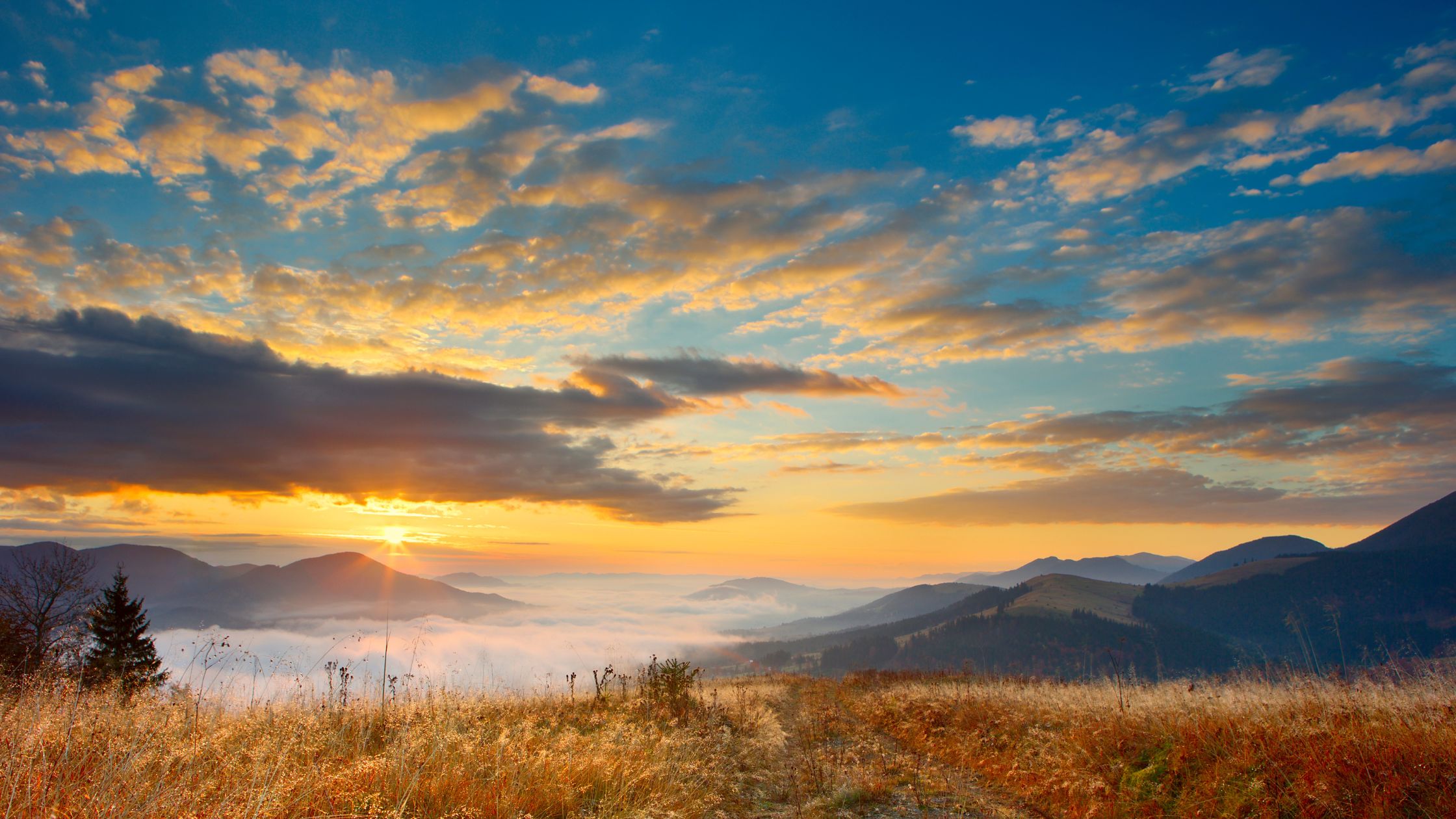 North American Weather Patterns Explained