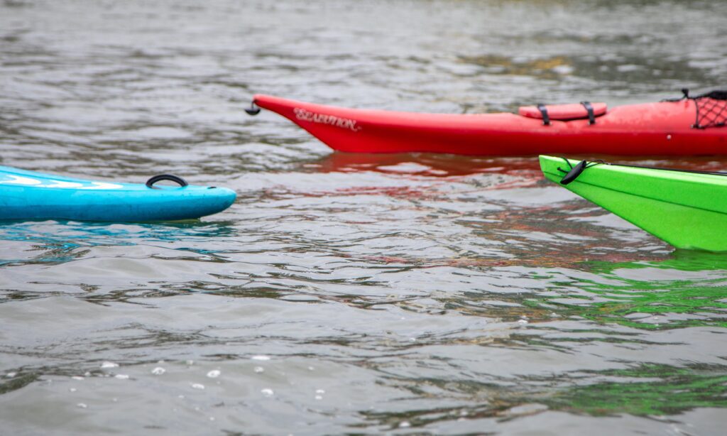 Sea Kayaking Essentials: Mastering the Waves with Expert Tips