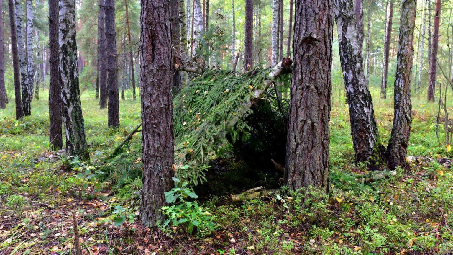 5 Outdoor Shelters: How To Build Them to Survive in Nature