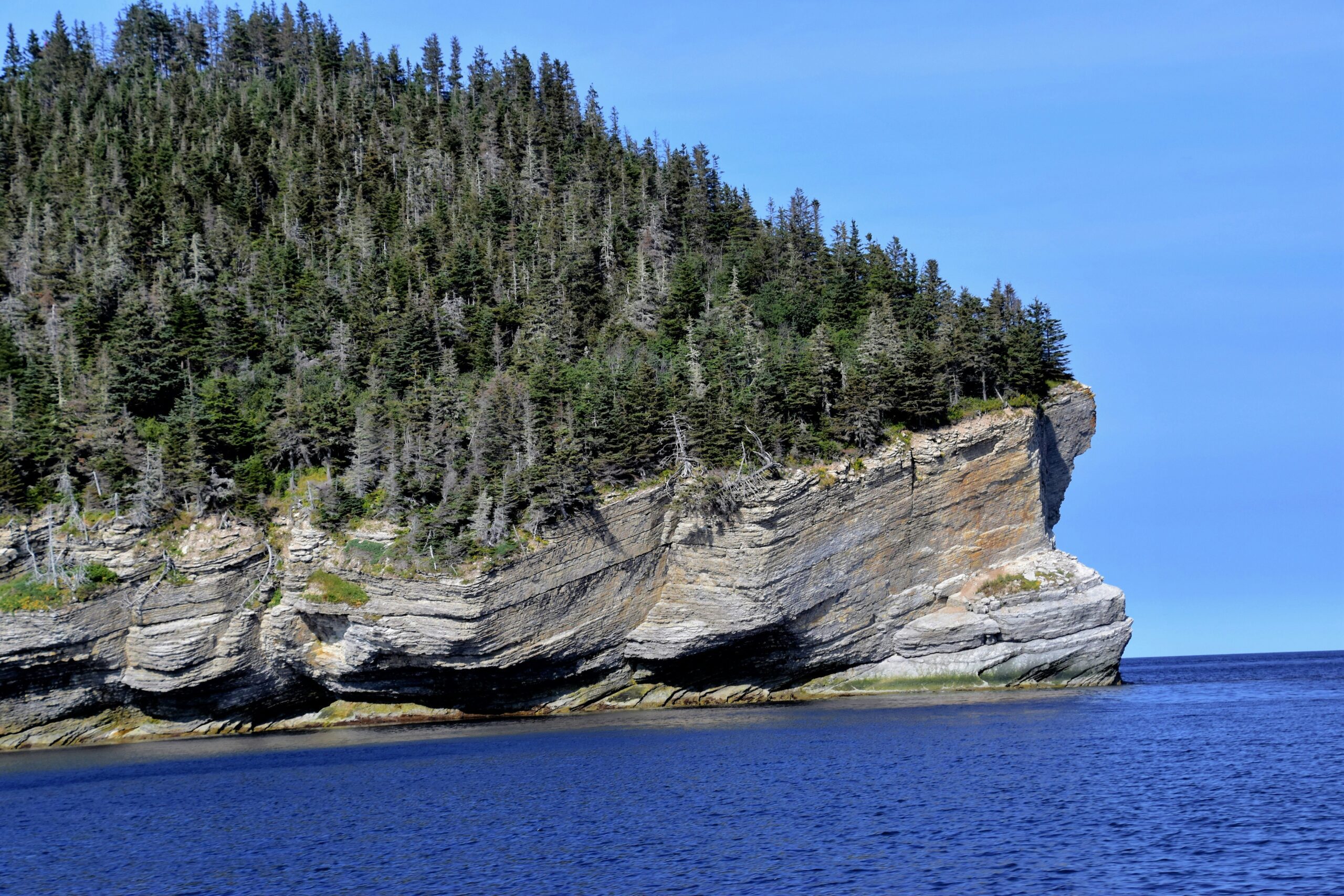 Forillon National Park: A Visitor's Guide to Quebec's Coastal Gem ... Forillon National Park: A Visitor's Guide to Quebec's Coastal Gem ...
