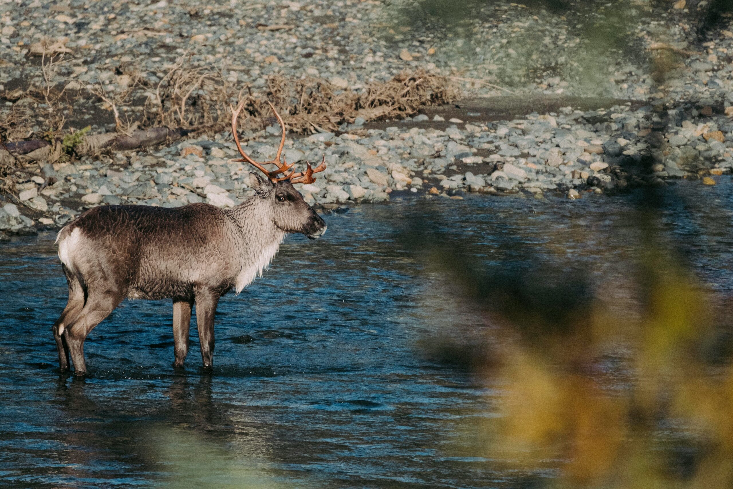 Kobuk Valley National Park: A Journey Through Arctic Wonders - Lake.com
