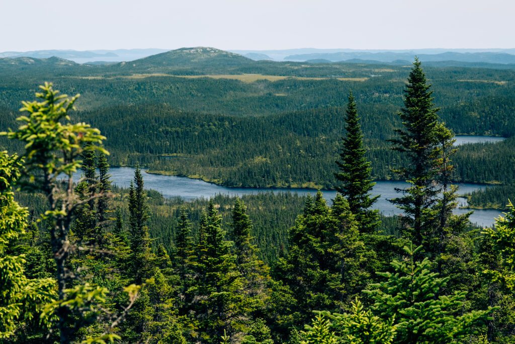 Terra Nova National Park: Trails & Top Attractions | Lake.com