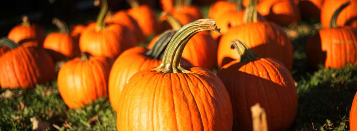 Top Picks for the 16 Best Missouri Fall Festivals | Lake.com