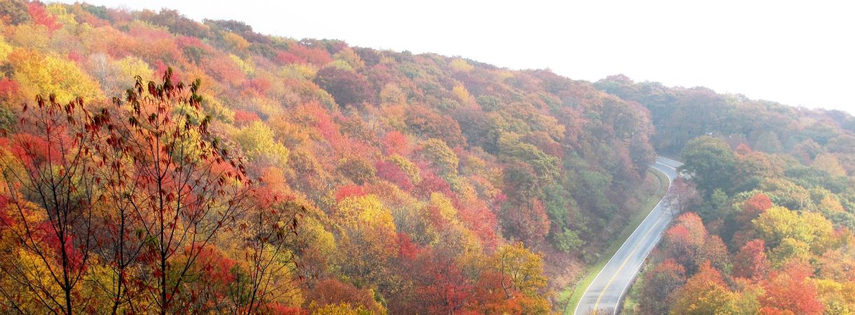 12 of the Best Tennessee Fall Festivals | Lake.com