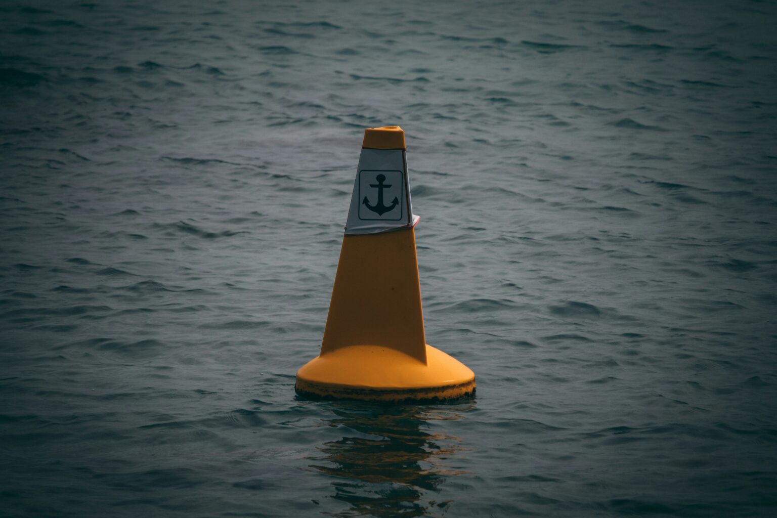 Types of Buoys for Boats and Their Meanings: A Quick Guide